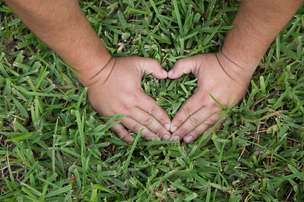 About One Two Tree | Lawn Care, Pest Control, Tree Service