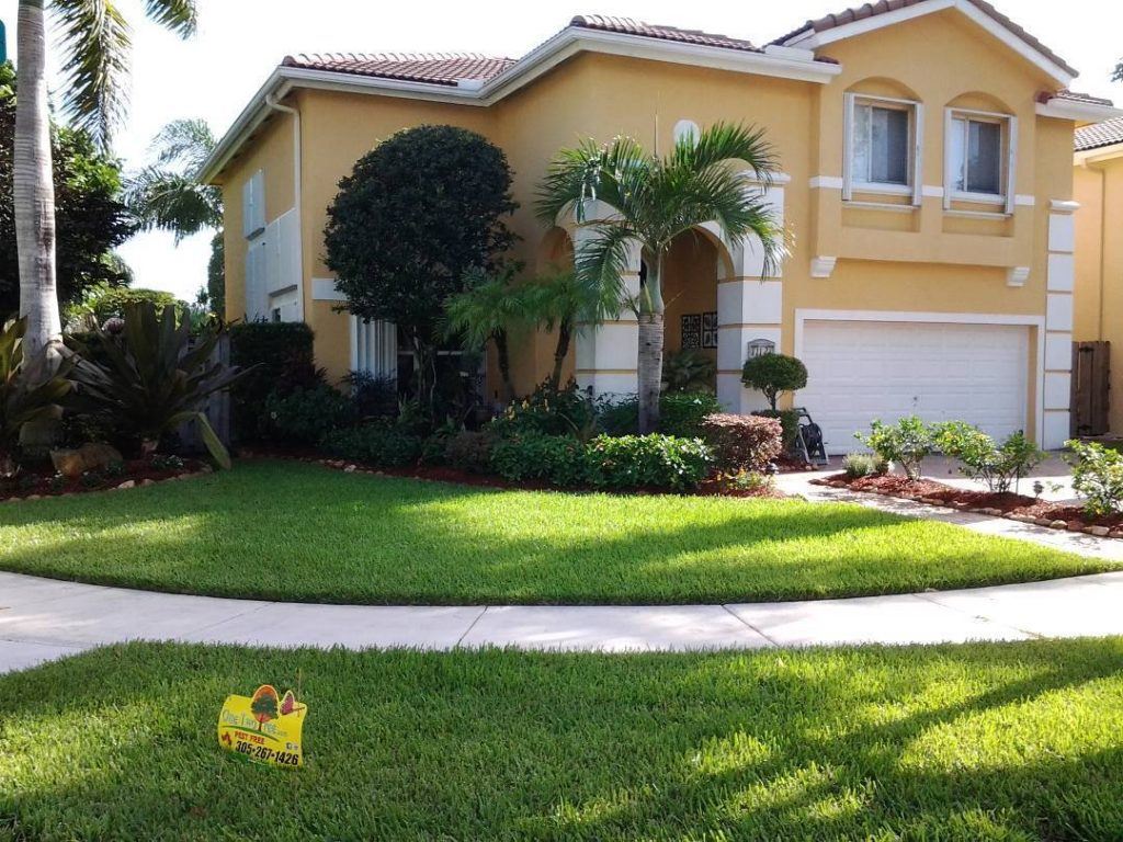 Pest Control Service | Lawn Care | Tree Service | One Two Tree